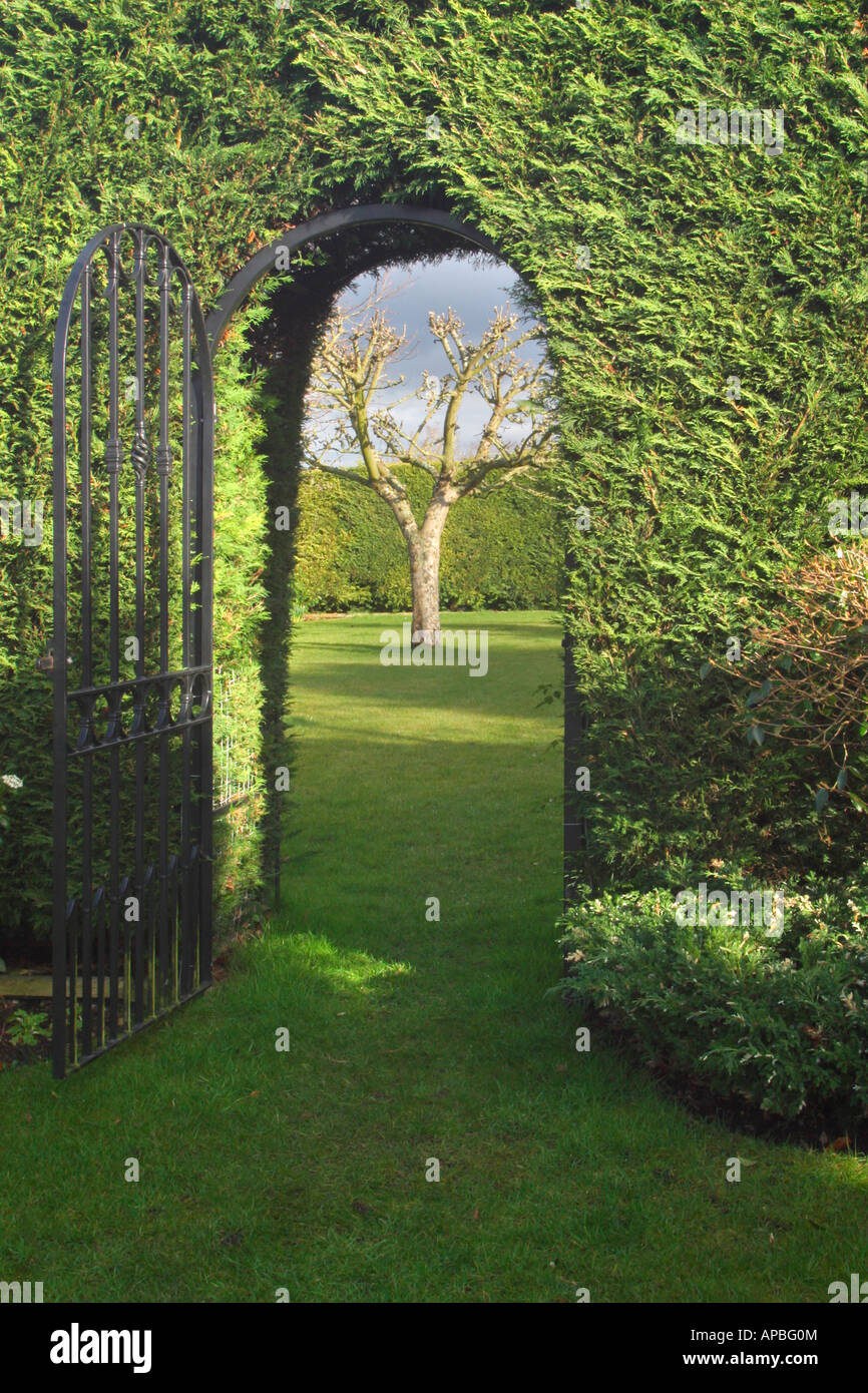 Clipped Garden Hedge Stock Photos & Clipped Garden Hedge Stock Images ...