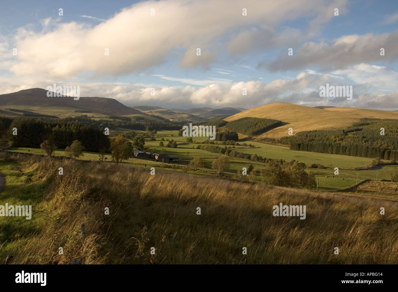 Glen Isla Angus Glens Scotland United Kingdom UK Stock Photo - Alamy