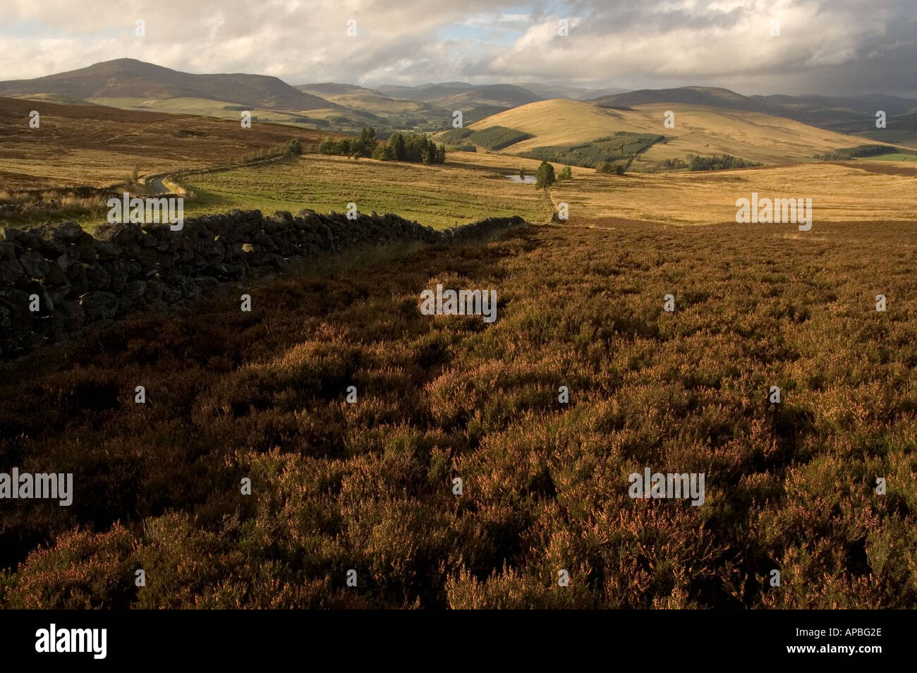 Glen Isla Angus Glens Scotland United Kingdom UK Stock Photo - Alamy