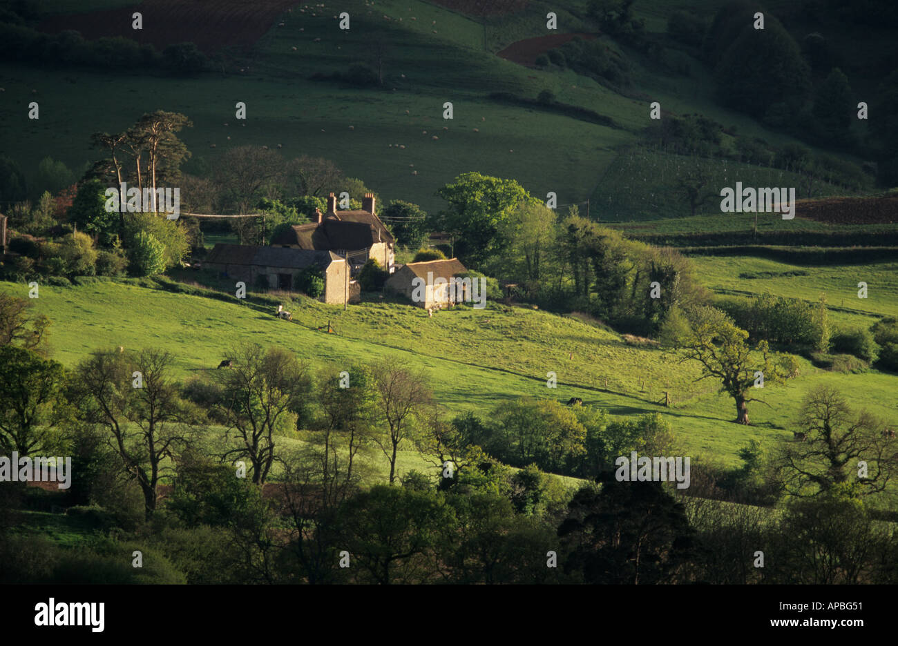 Beaminster hi-res stock photography and images - Alamy
