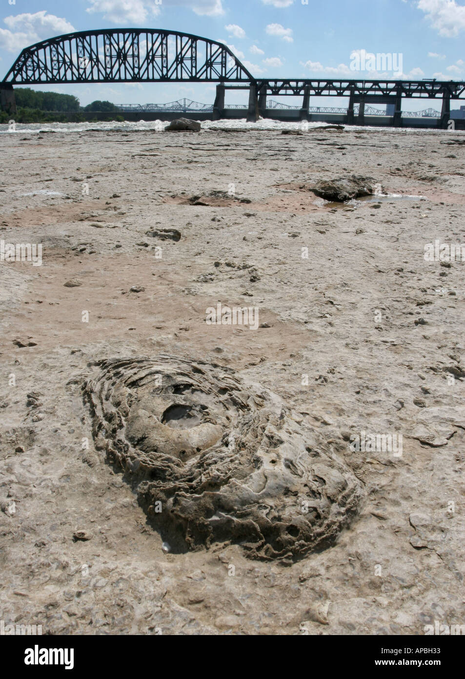 falls of the ohio river state park jeffersonville indiana ledge bedrock ...