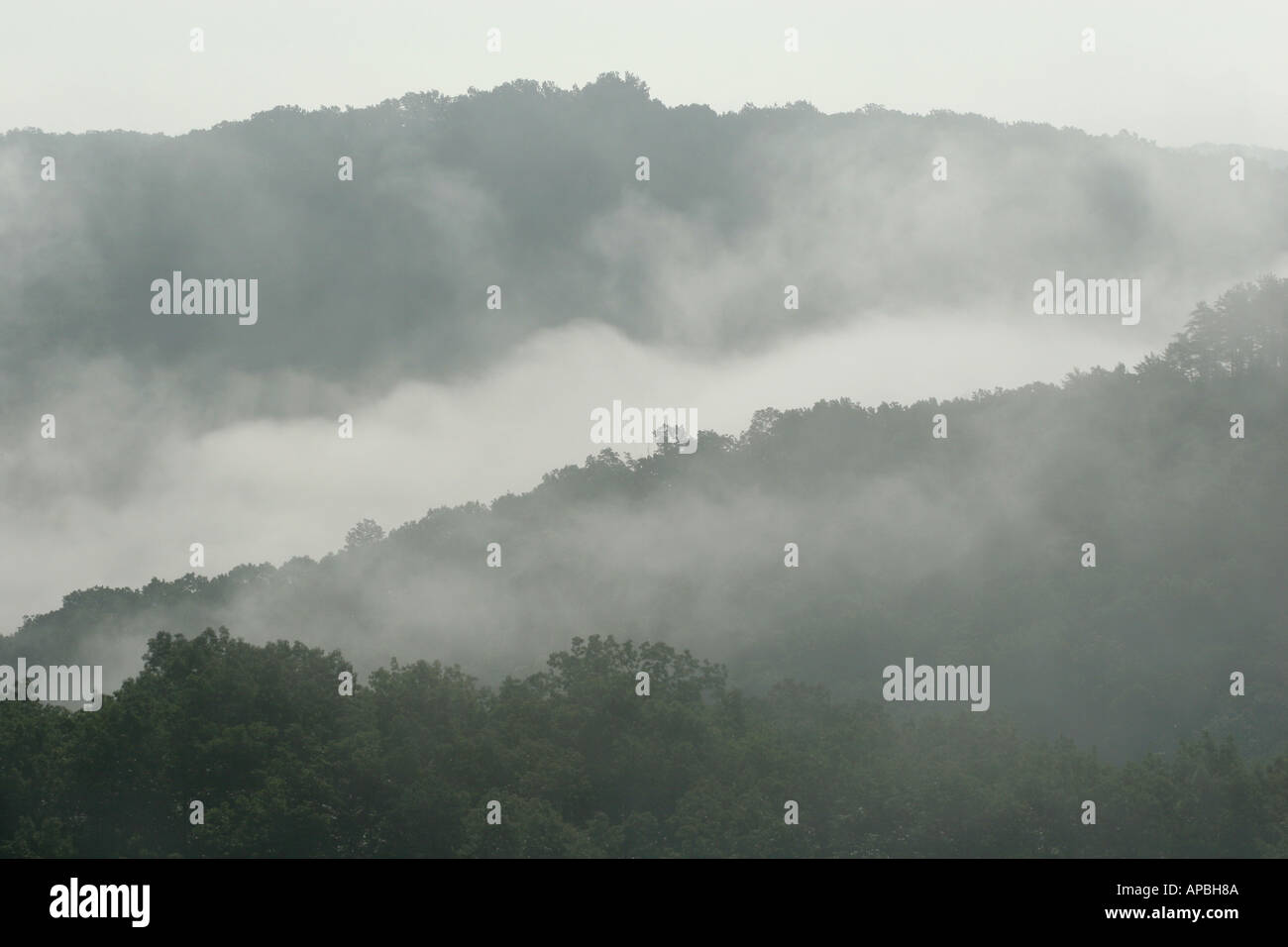 Red river gorge kentucky daniel Landscape Mist Nature North America ...