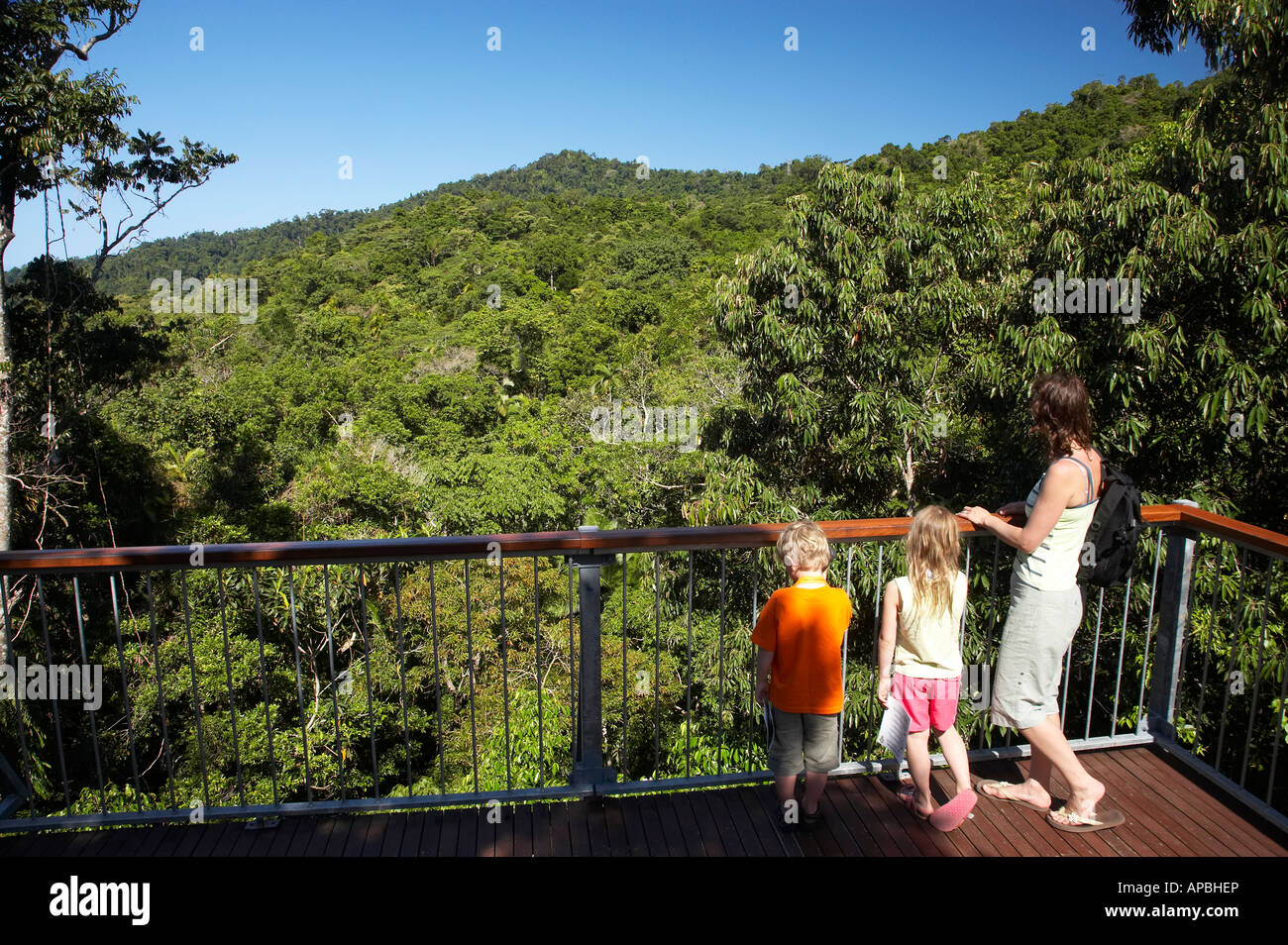 Family on Canopy Tower Daintree Discovery Centre Daintree National Park ...