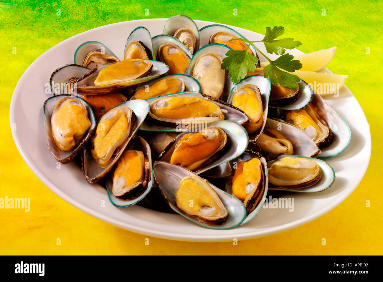 Green Lipped Mussels Seafood Stock Photos & Green Lipped Mussels ...