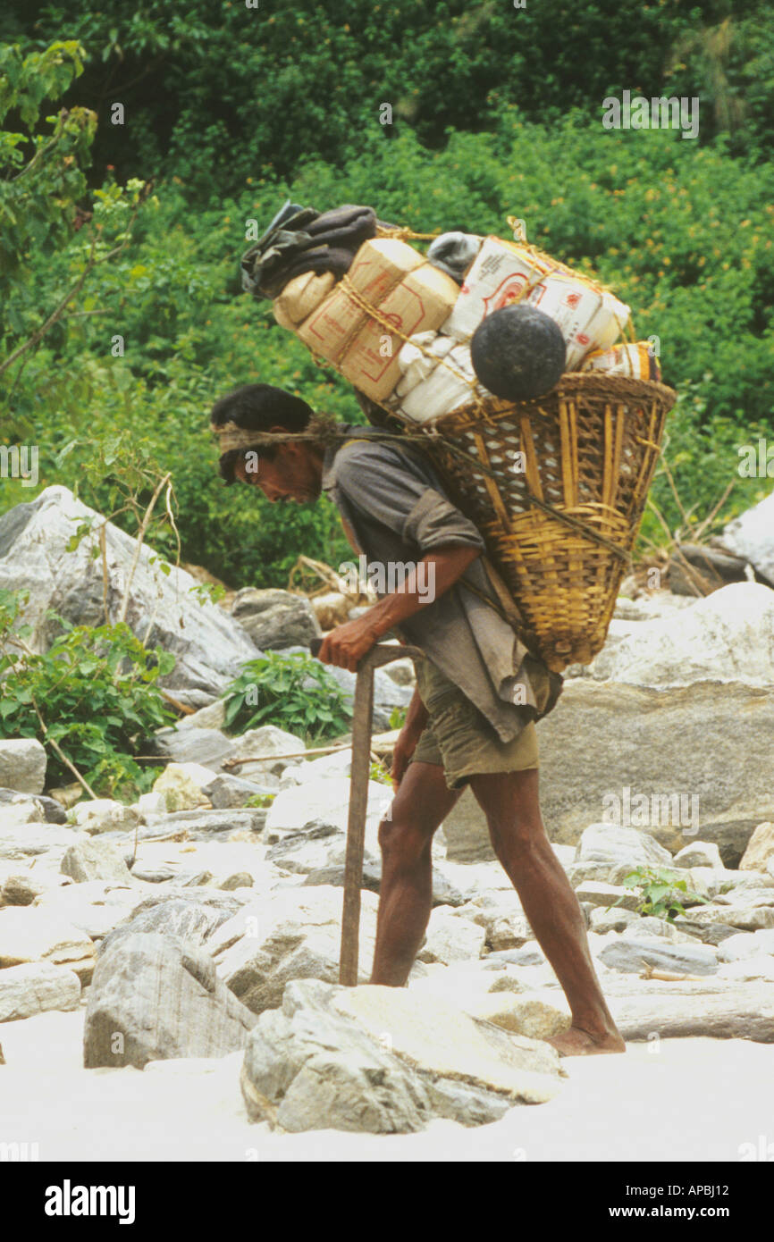 Nepali porter carrying large load on his back along a track Nepal Asia ...