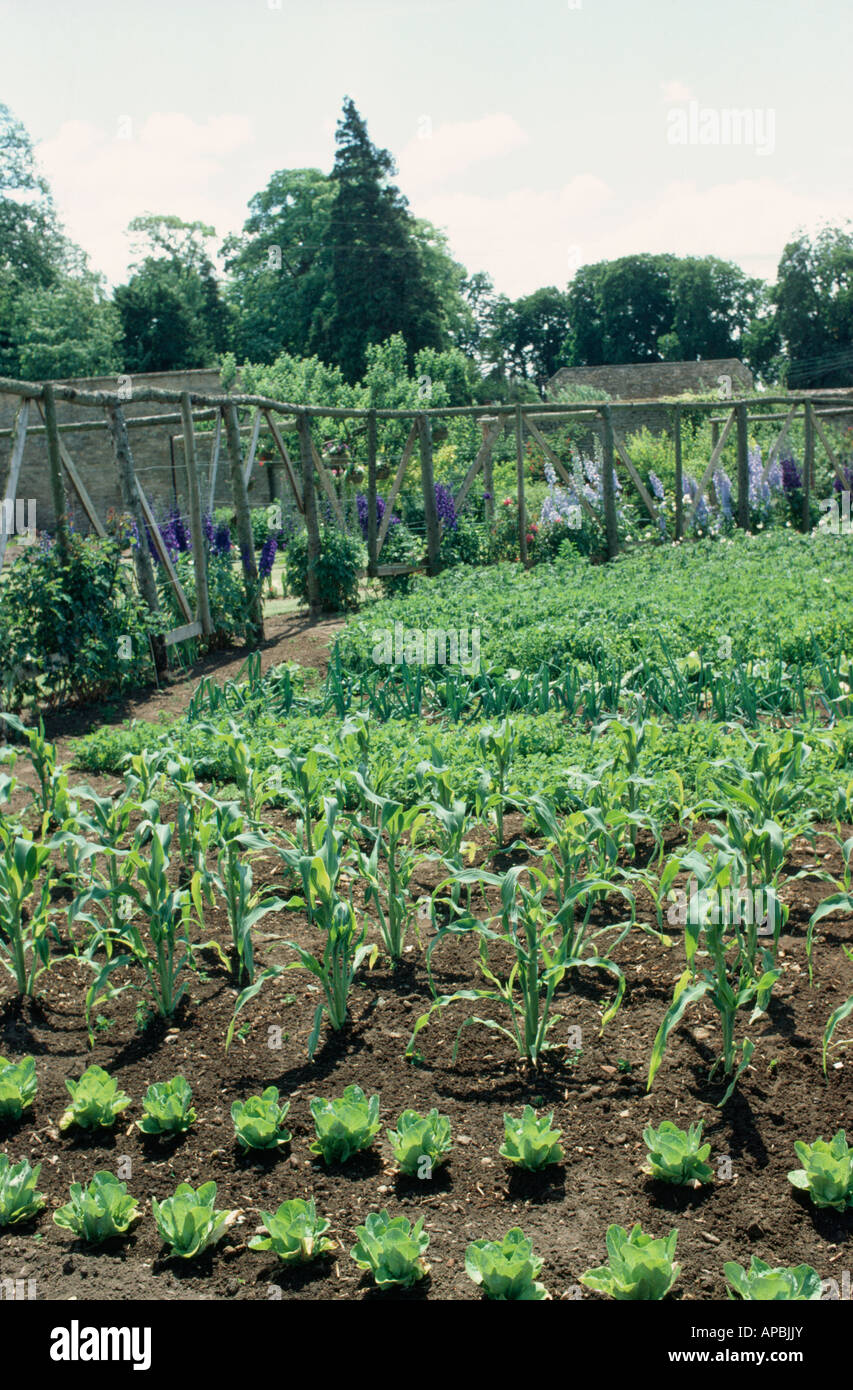 Country Vegetable Garden