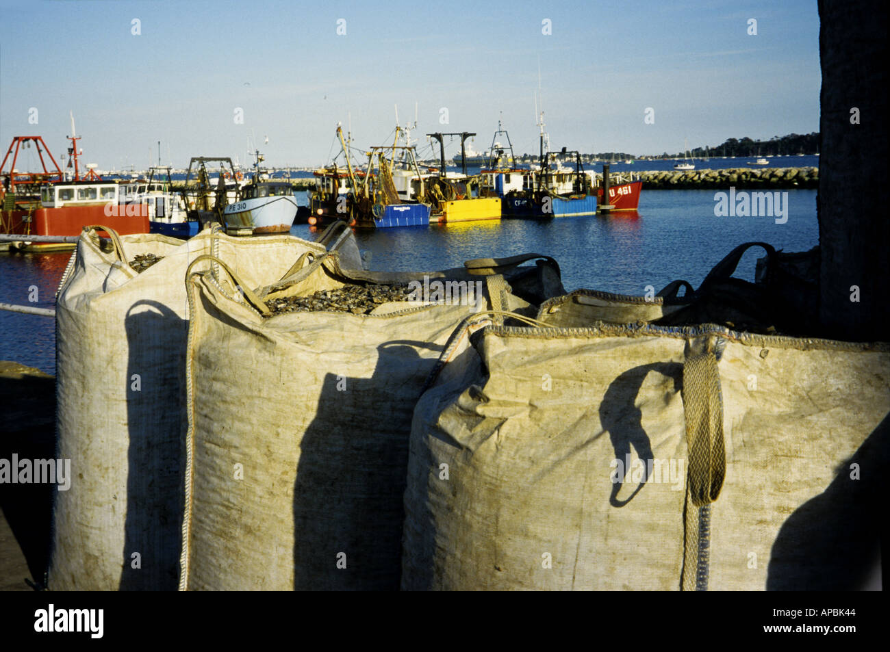 Poole harbour fishing boats hi-res stock photography and images - Alamy