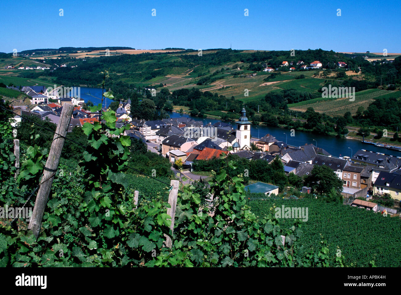 Wormeldange, Moselle River, Luxemburg Stock Photo - Alamy