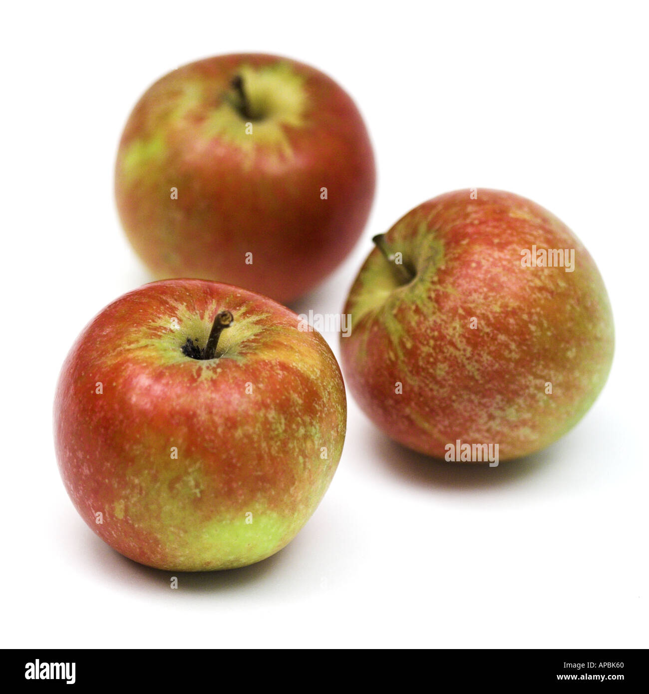 Cox Cox's orange pippin apple apples Stock Photo - Alamy