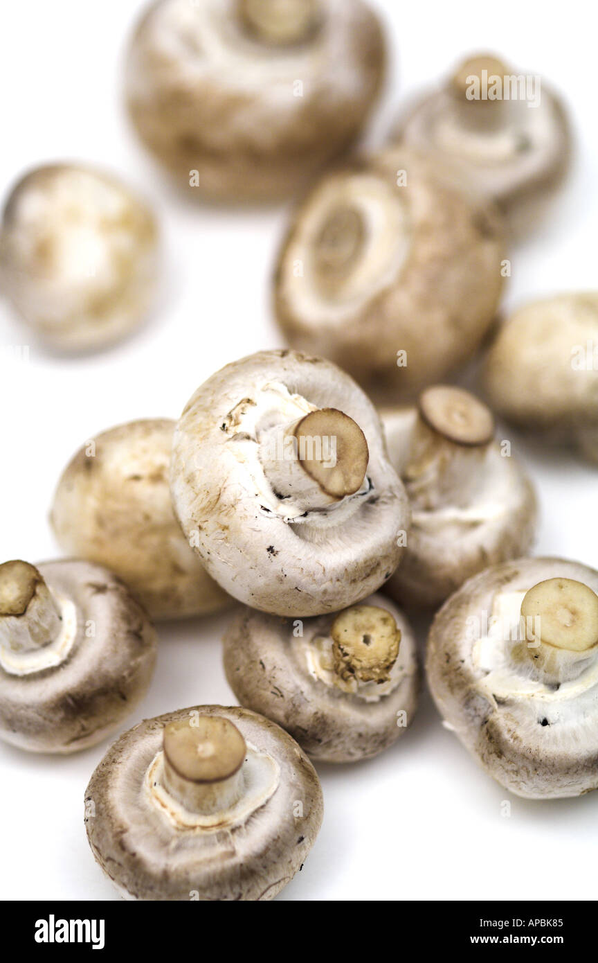 Farmed fungi hi-res stock photography and images - Alamy