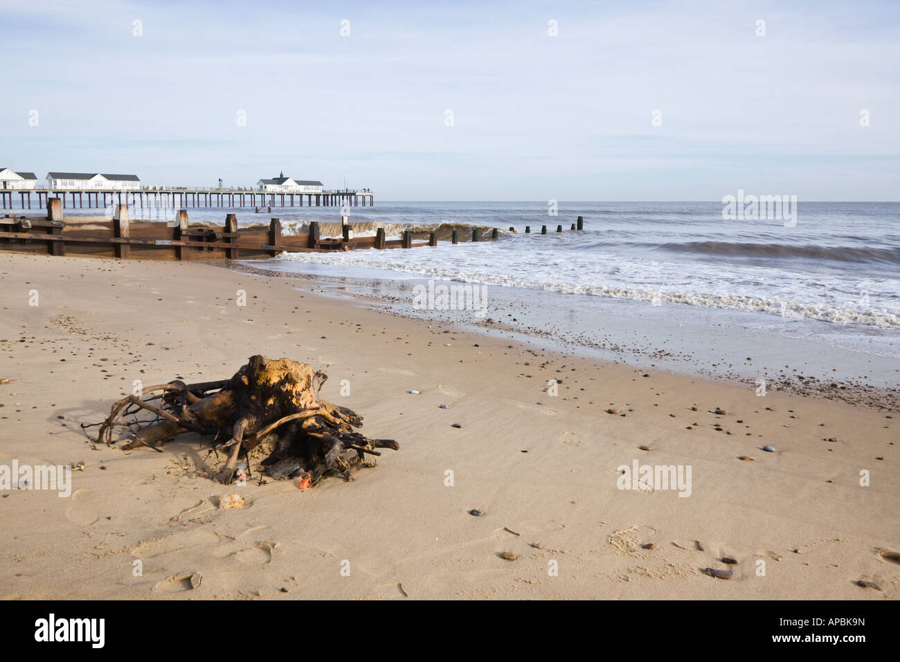 Root sleeve hi-res stock photography and images - Alamy