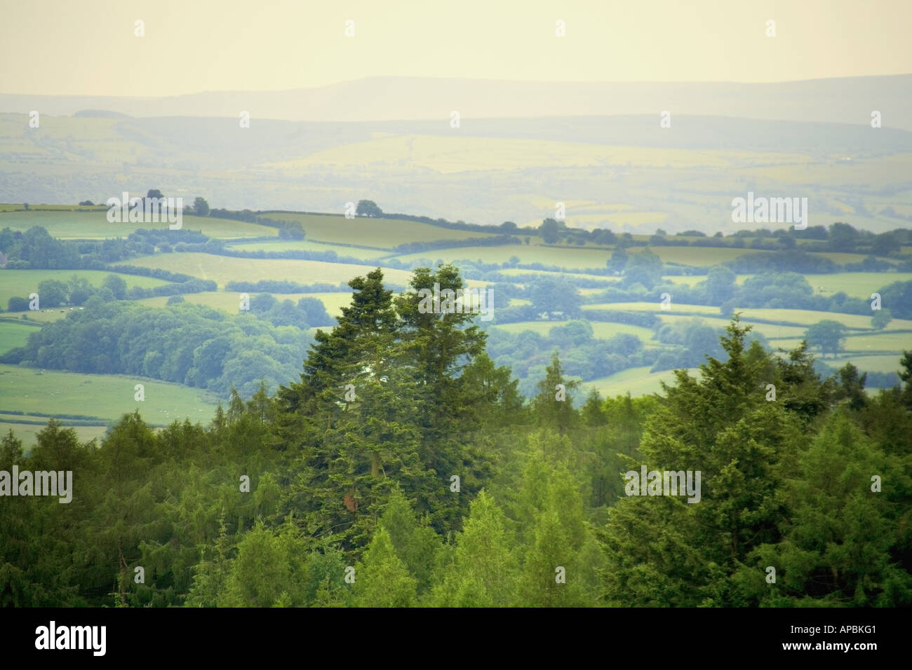 Hergest ridge footpath hi-res stock photography and images - Alamy