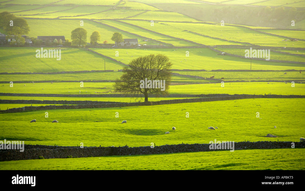 Longstone moor farm hi-res stock photography and images - Alamy