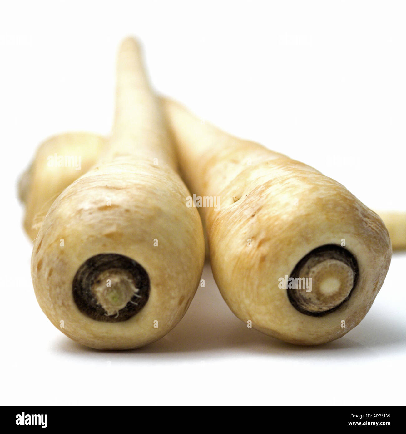 Parsnips Root Vegetable Parsnip Stock Photo - Alamy