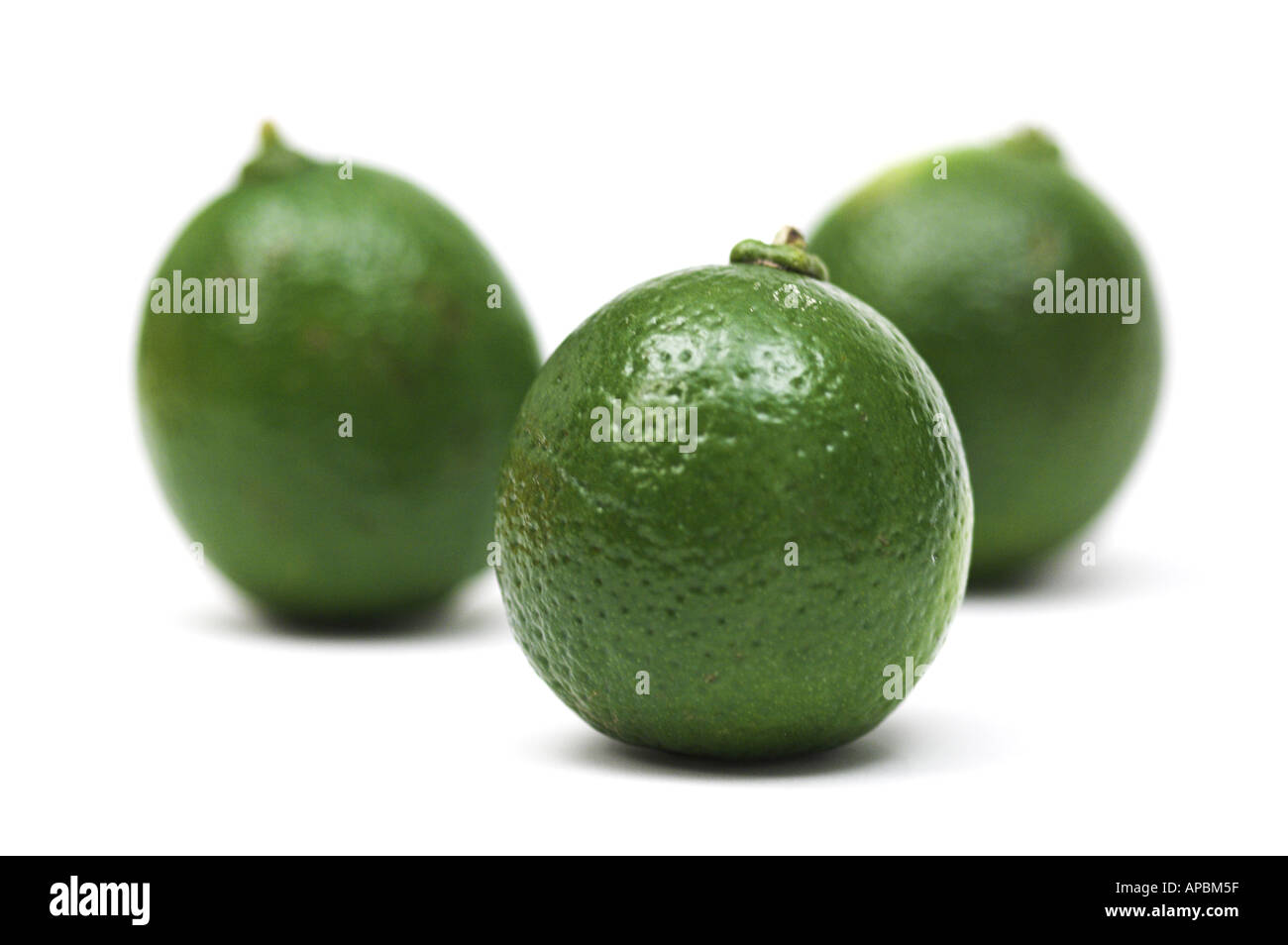 Lime Fruits Lime Citrus Fruits Stock Photo - Alamy