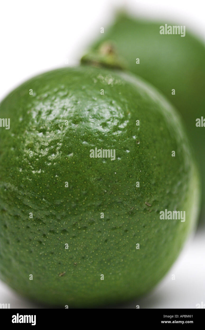 Lime Fruits Lime Citrus Fruits Stock Photo - Alamy