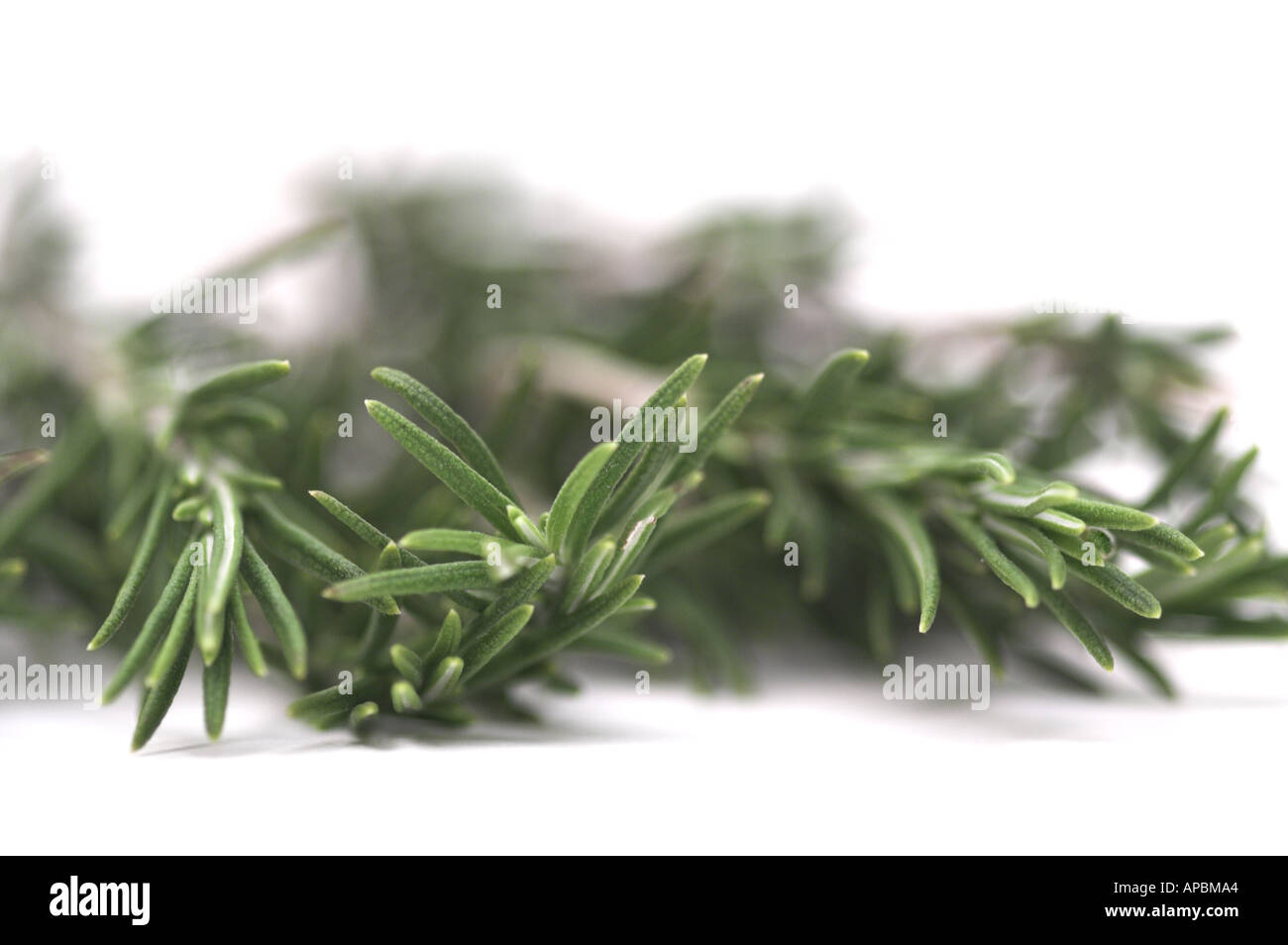 Clive field hi-res stock photography and images - Alamy