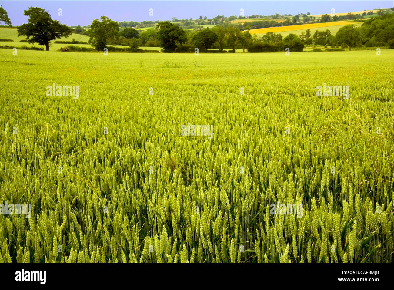 farmland warwickshire view from offchurch greenway cycle path Stock ...