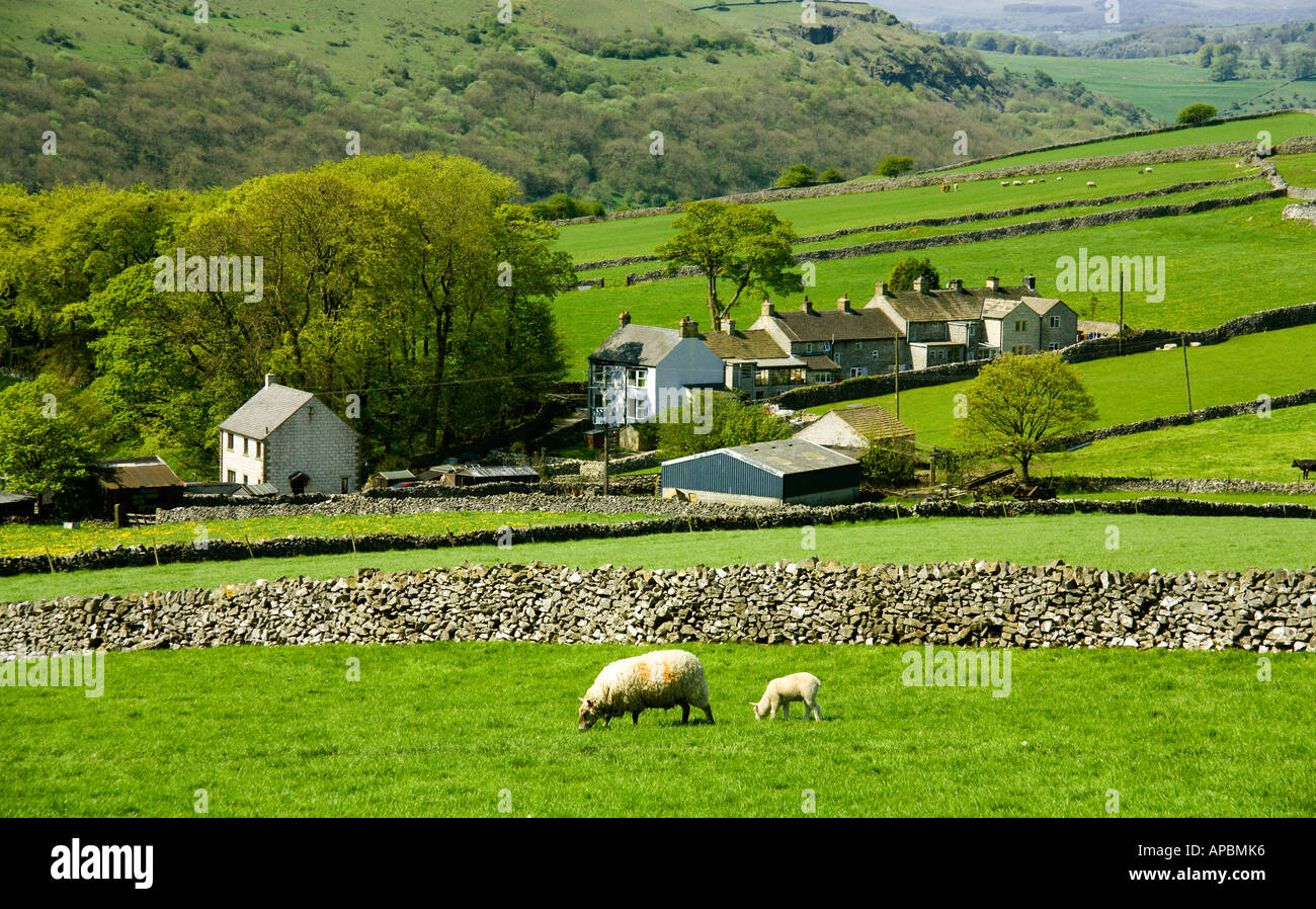 millers dale peak district national park derbyshire Stock Photo - Alamy