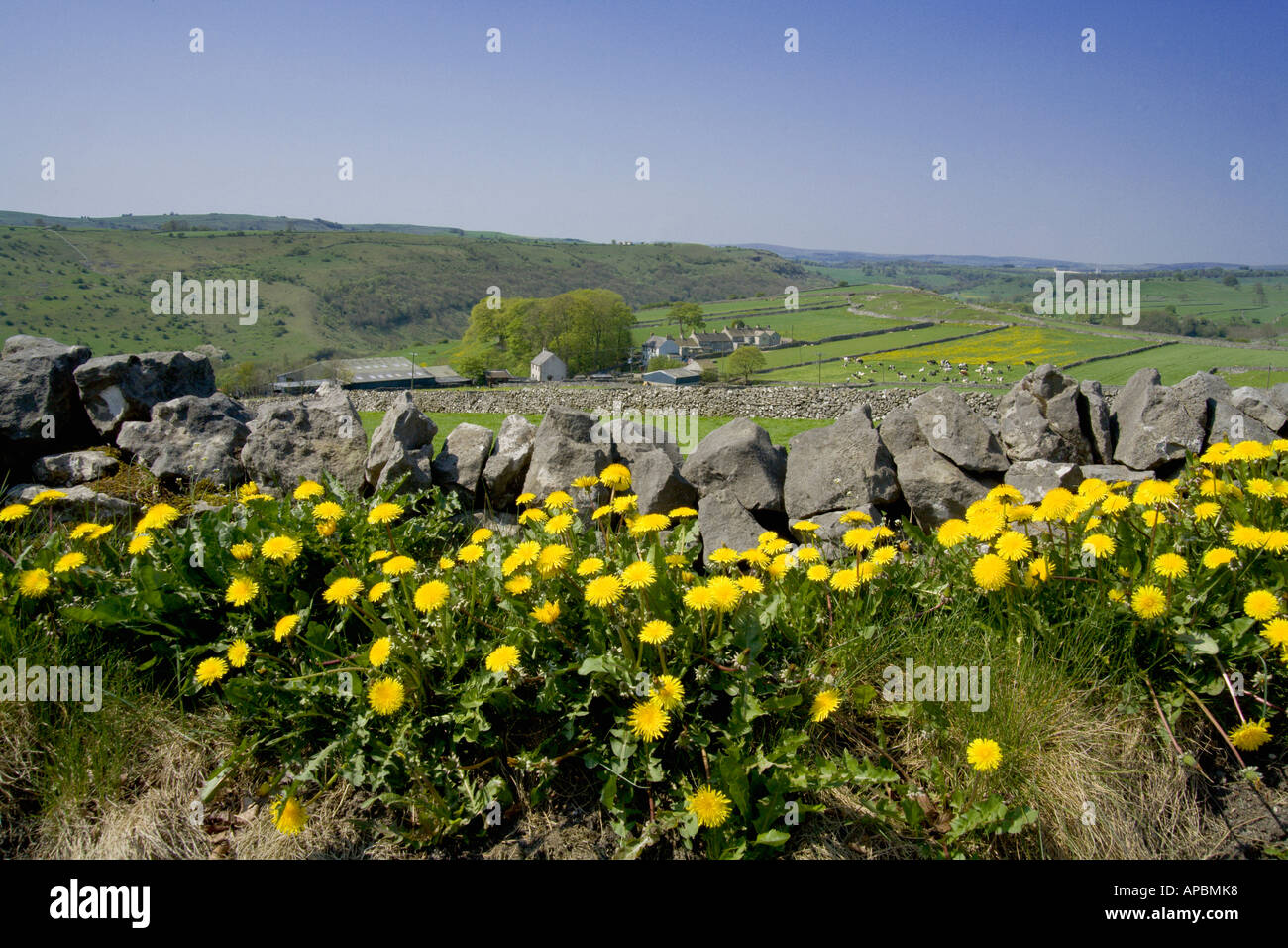 millers dale peak district national park derbyshire Stock Photo - Alamy