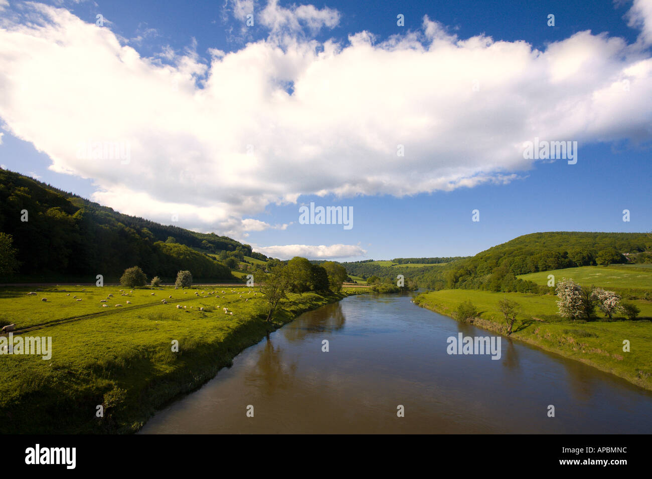valley of the river wye border of england and wales Stock Photo - Alamy