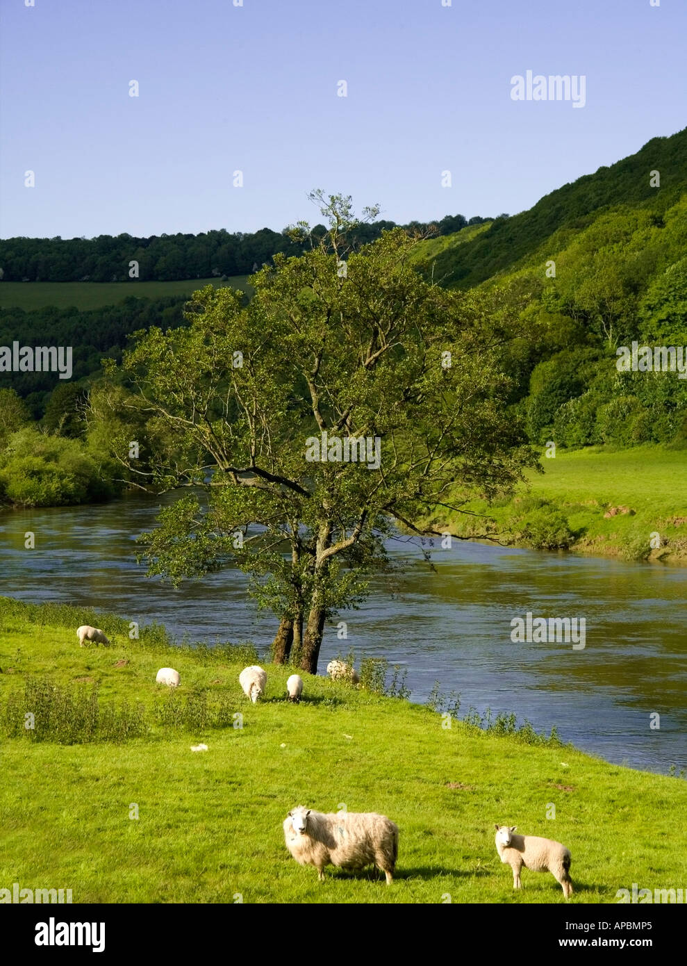 valley of the river wye border of england and wales Stock Photo - Alamy