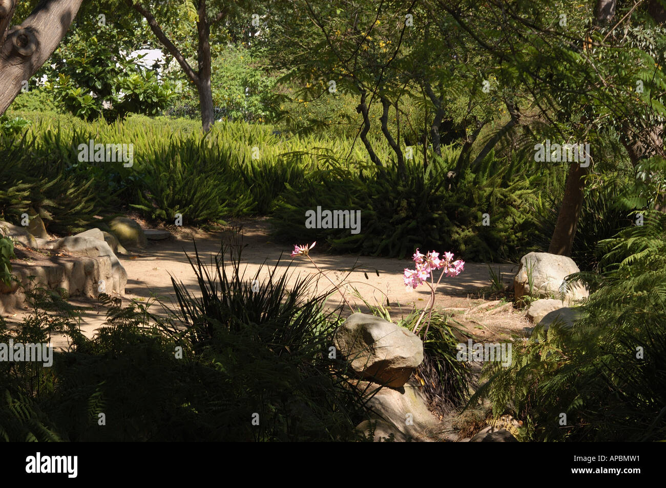 Alice keck park hi-res stock photography and images - Alamy