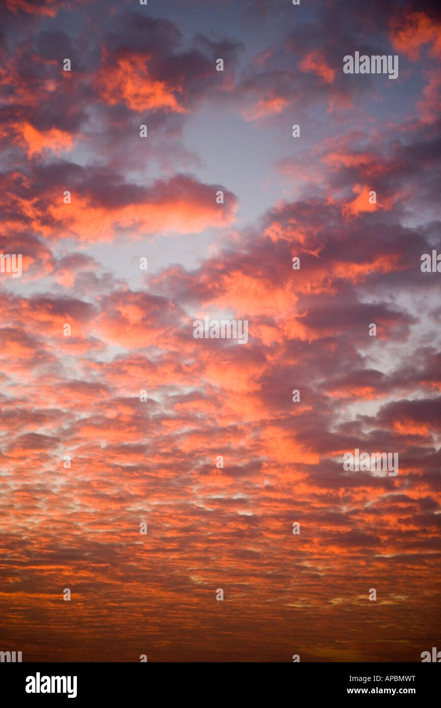 Pink mackerel sky with fluffy clouds Stock Photo - Alamy