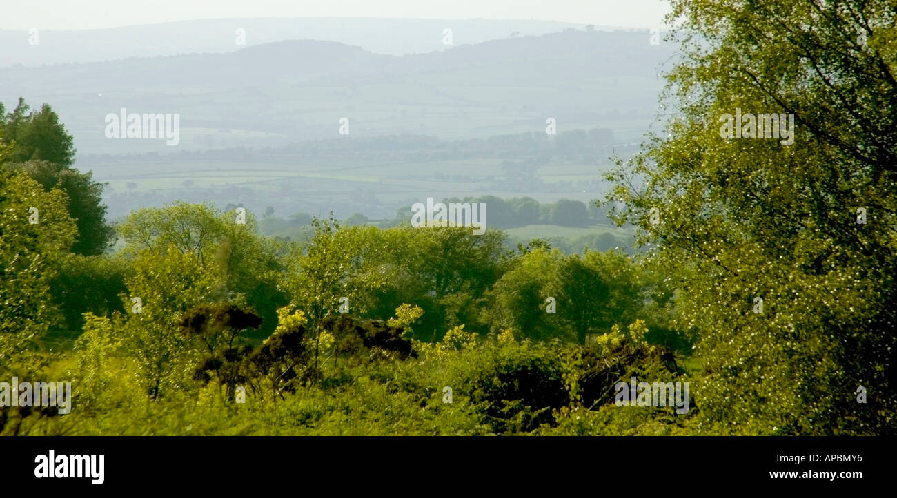 england gloucestershire the forest of dean as seen from ruardean beacon ...