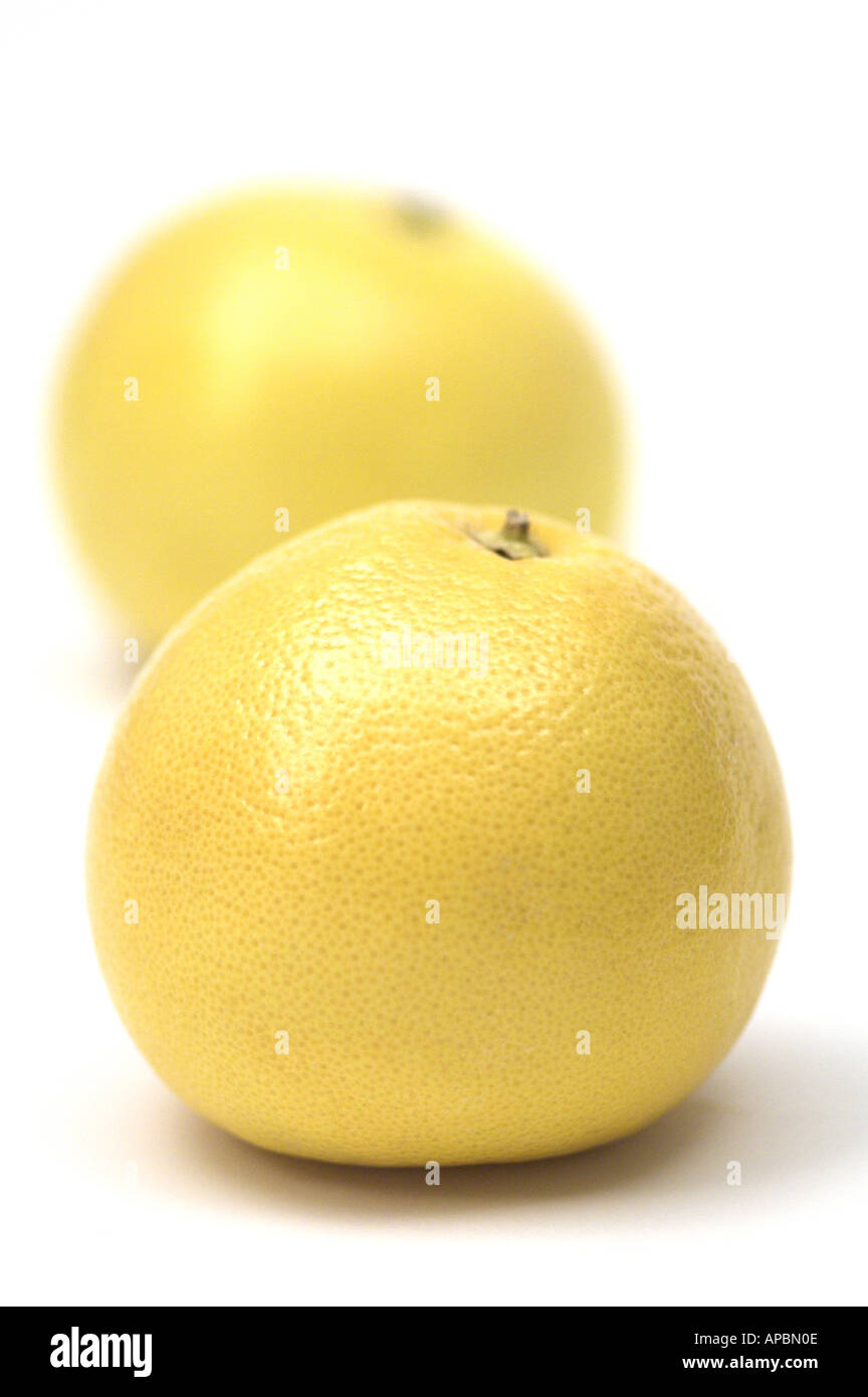 Grapefruit Fruit Grapefruit Stock Photo - Alamy
