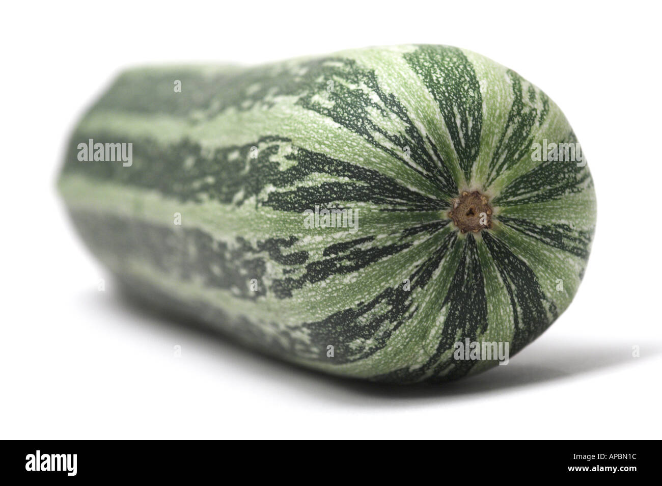 Marrow Vegetable Marrow Stock Photo - Alamy