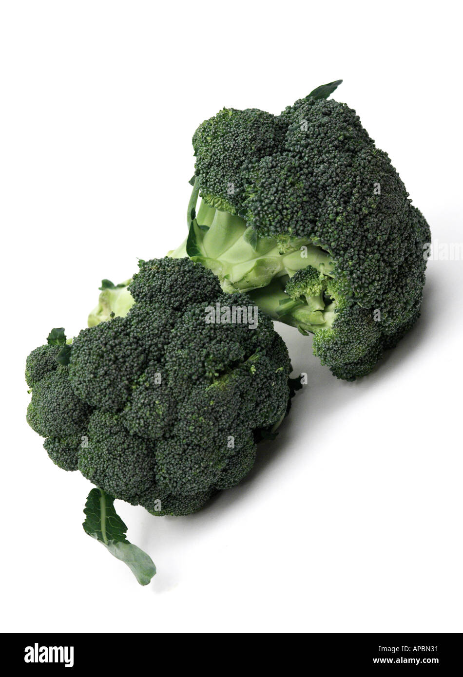 Vegetable Broccoli Green Broccoli Calabrese Florets Stock Photo - Alamy