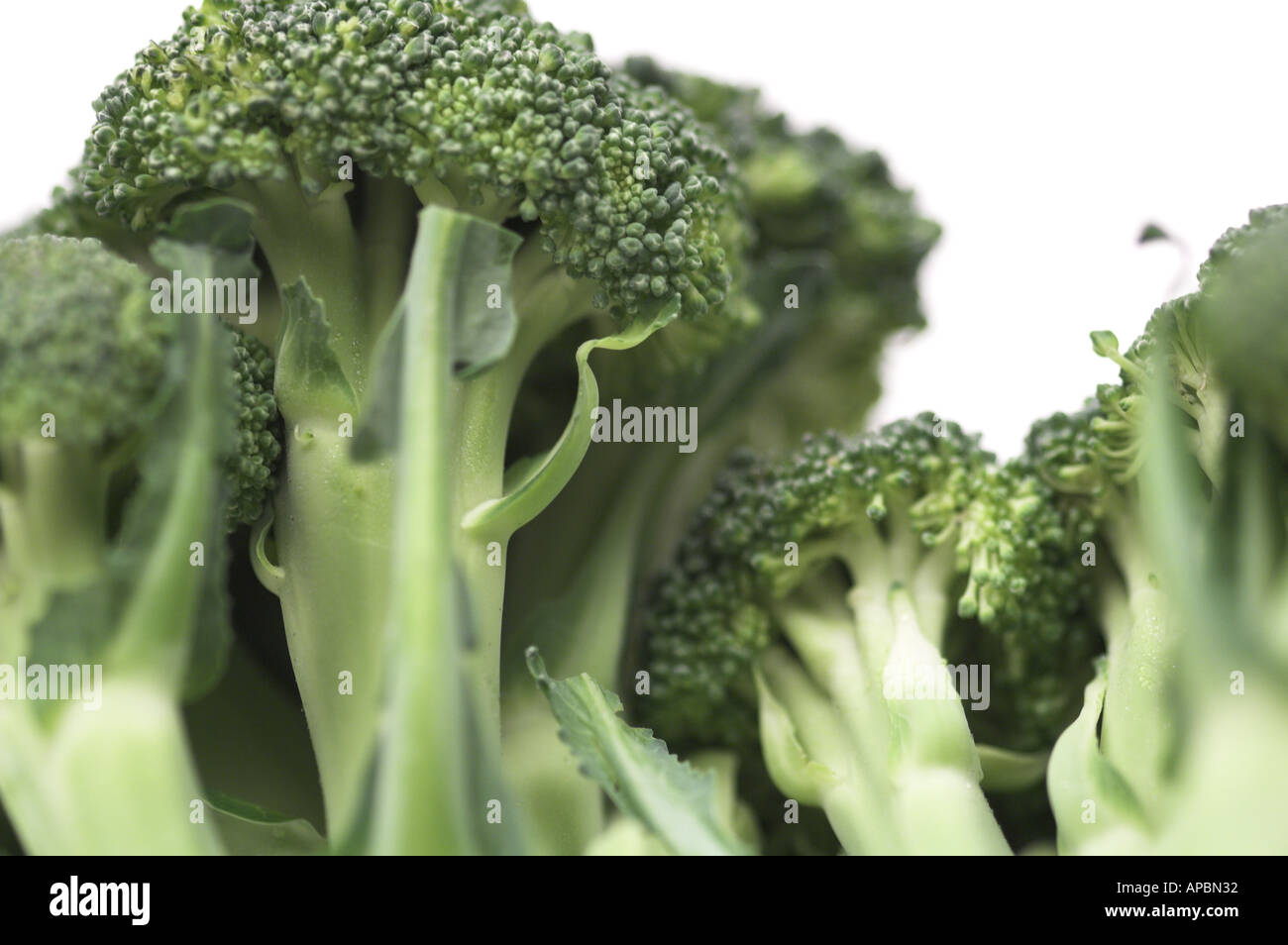 Vegetable Broccoli Green Broccoli Calabrese Florets Stock Photo - Alamy