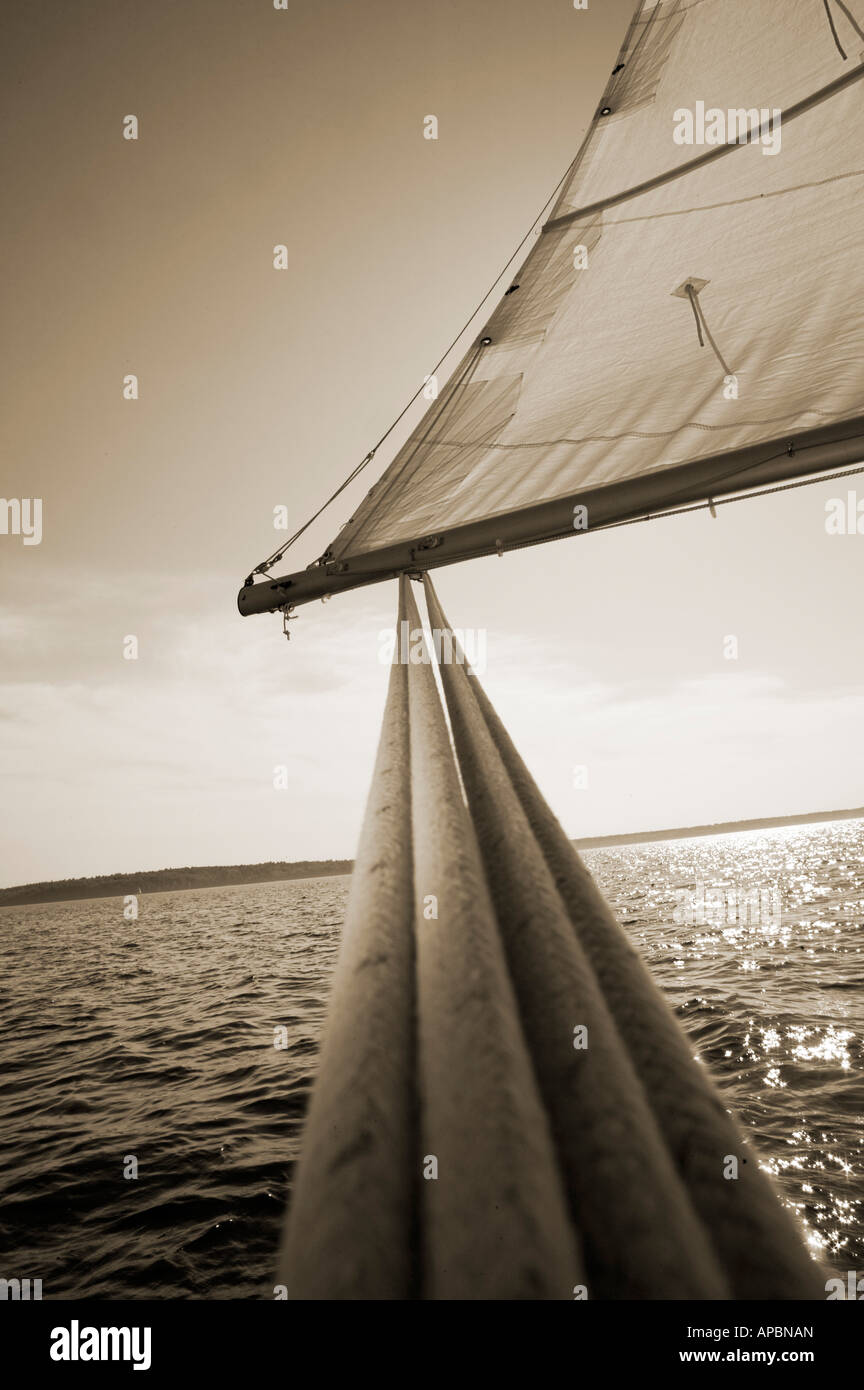 Sailboat Sepia
