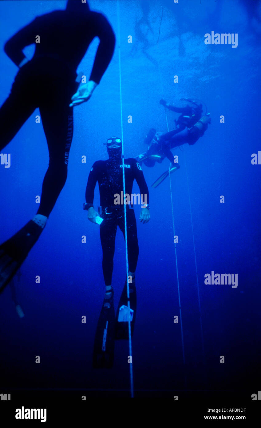 Scuba diving view from action hi-res stock photography and images - Alamy