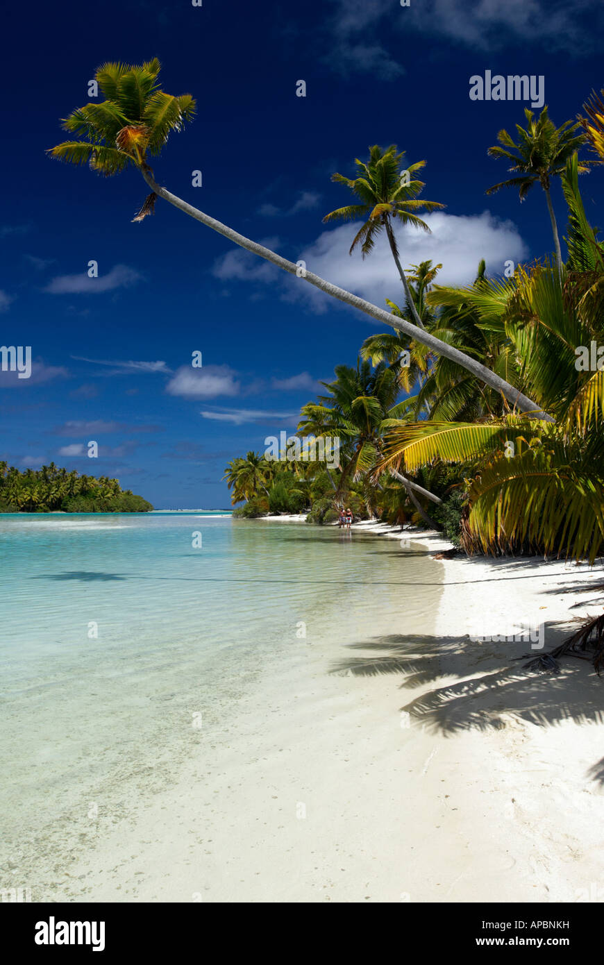 The beautiful crystal clear waters of the Aitutaki Lagoon, Cook Islands ...