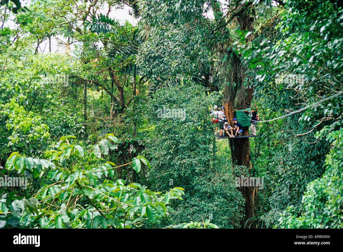 Zip line platform in rainforest, Arenal, Costa Rica Stock Photo - Alamy