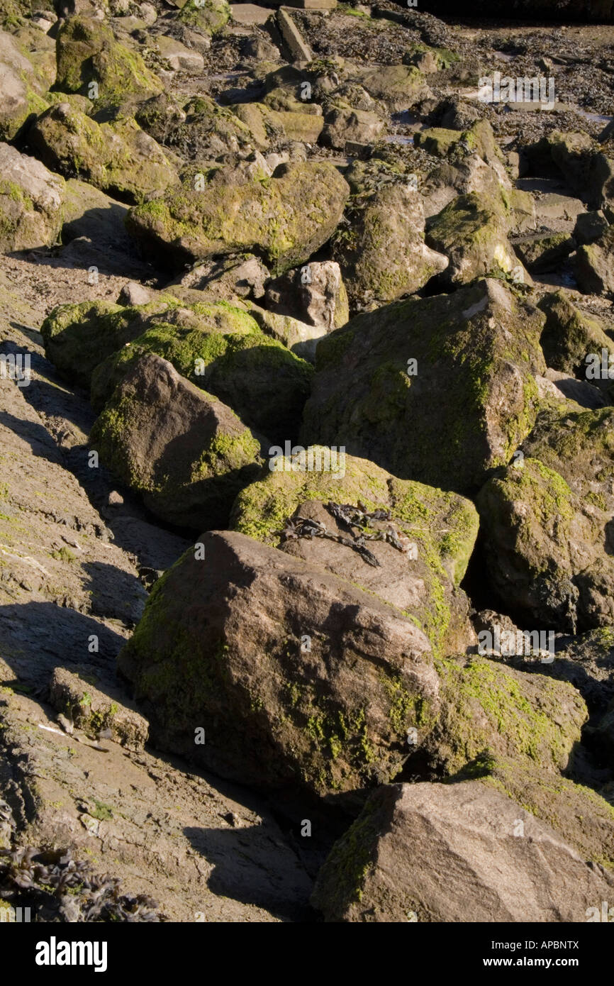 Tidal River Rocks Stock Photo - Alamy