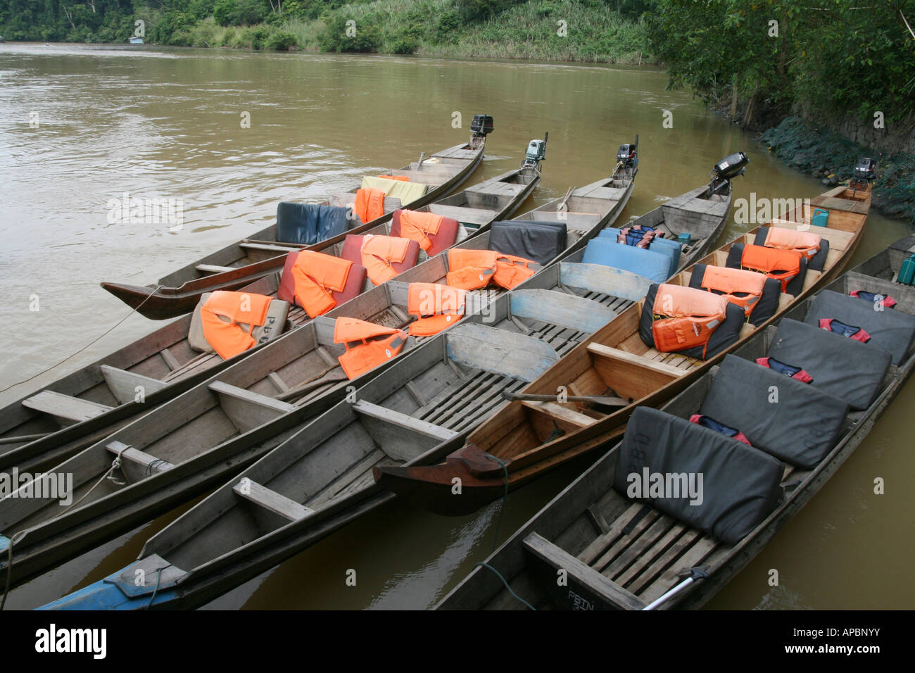 Motorised sampan boats for river trips at Taman Negara Malaysia Stock ...