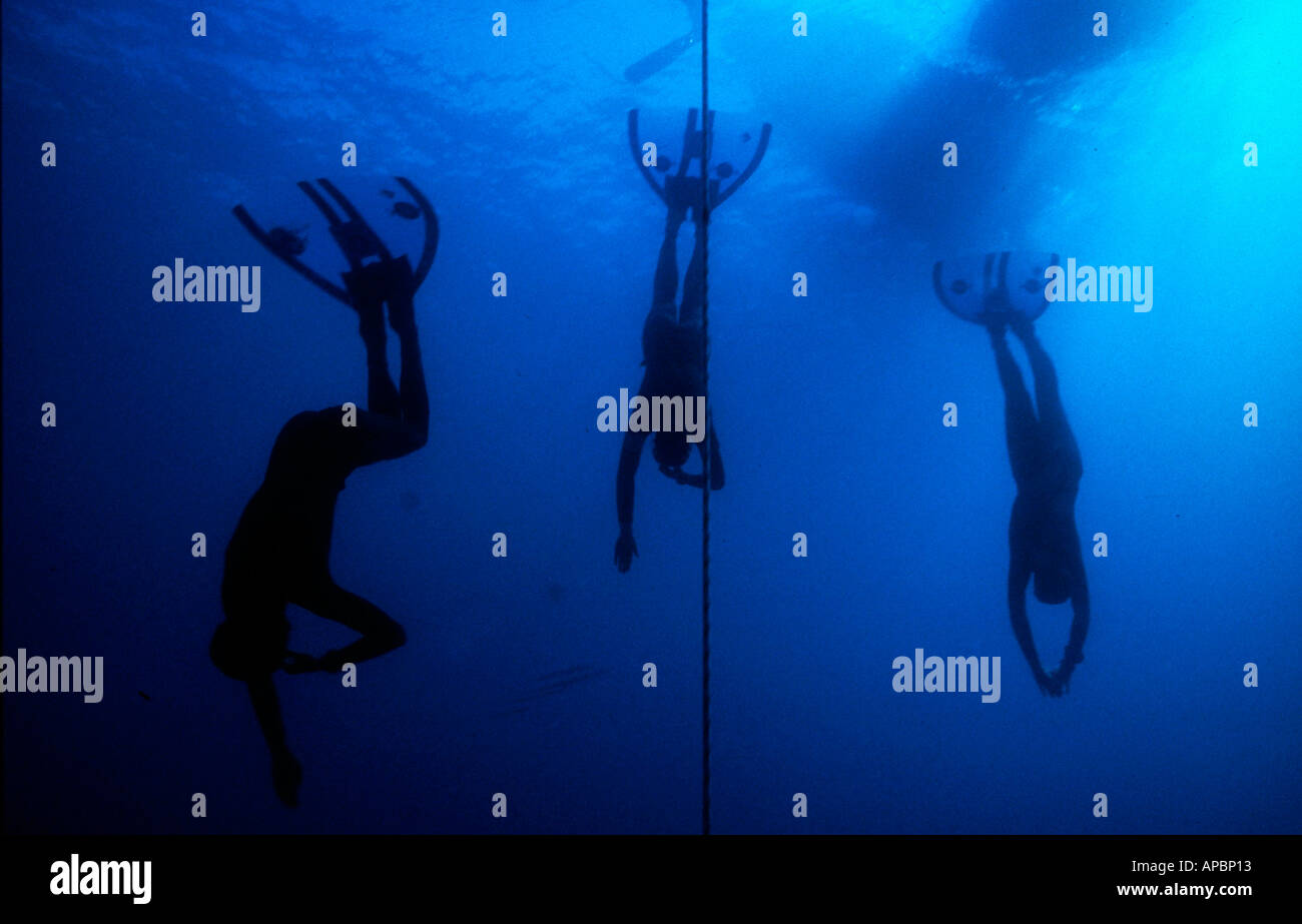 Diver moving upside down in hi-res stock photography and images - Alamy