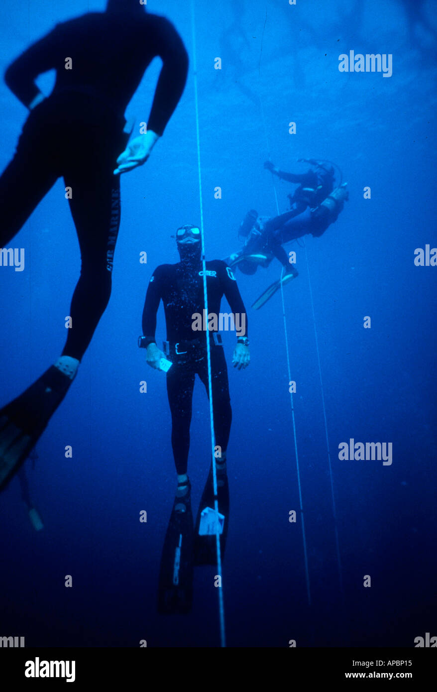 No limits freediving hi-res stock photography and images - Alamy