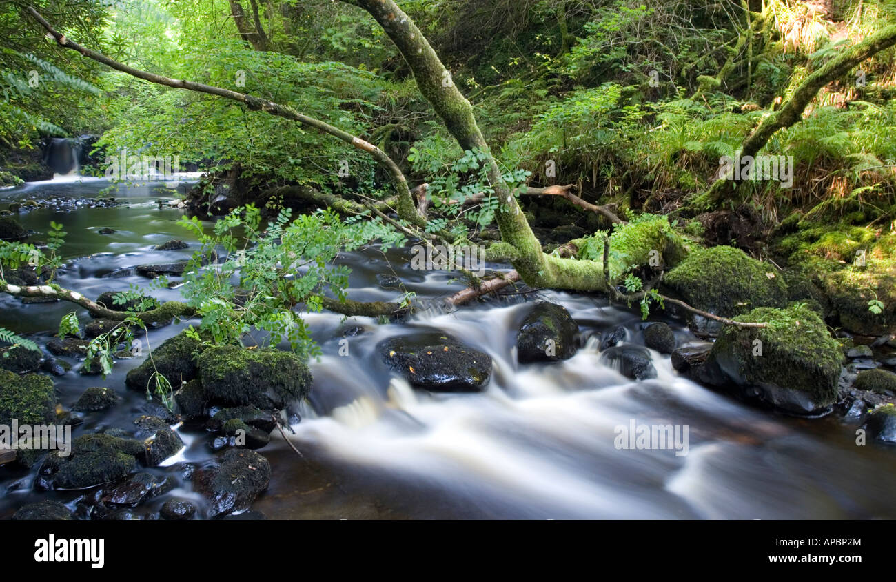 River scene in Co. Antrim's Glenariff Forest, Northern Ireland Stock ...