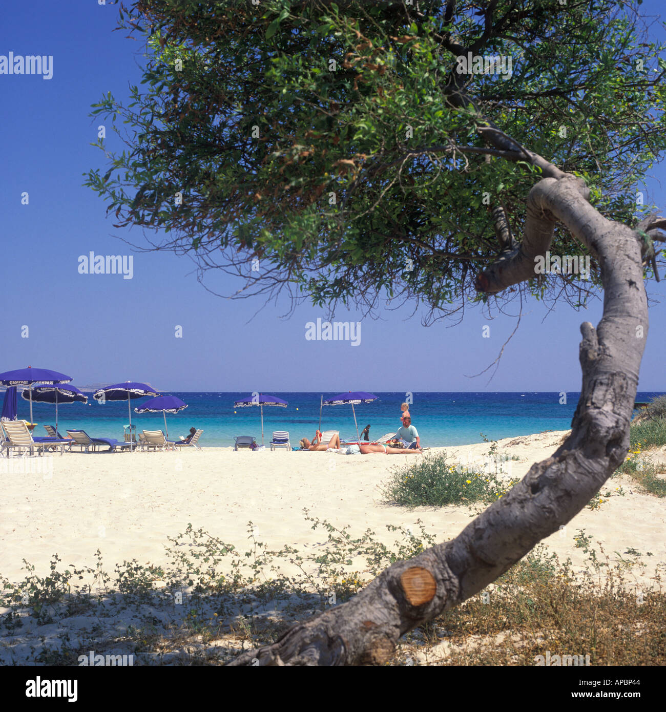 Aya napa hi-res stock photography and images - Alamy