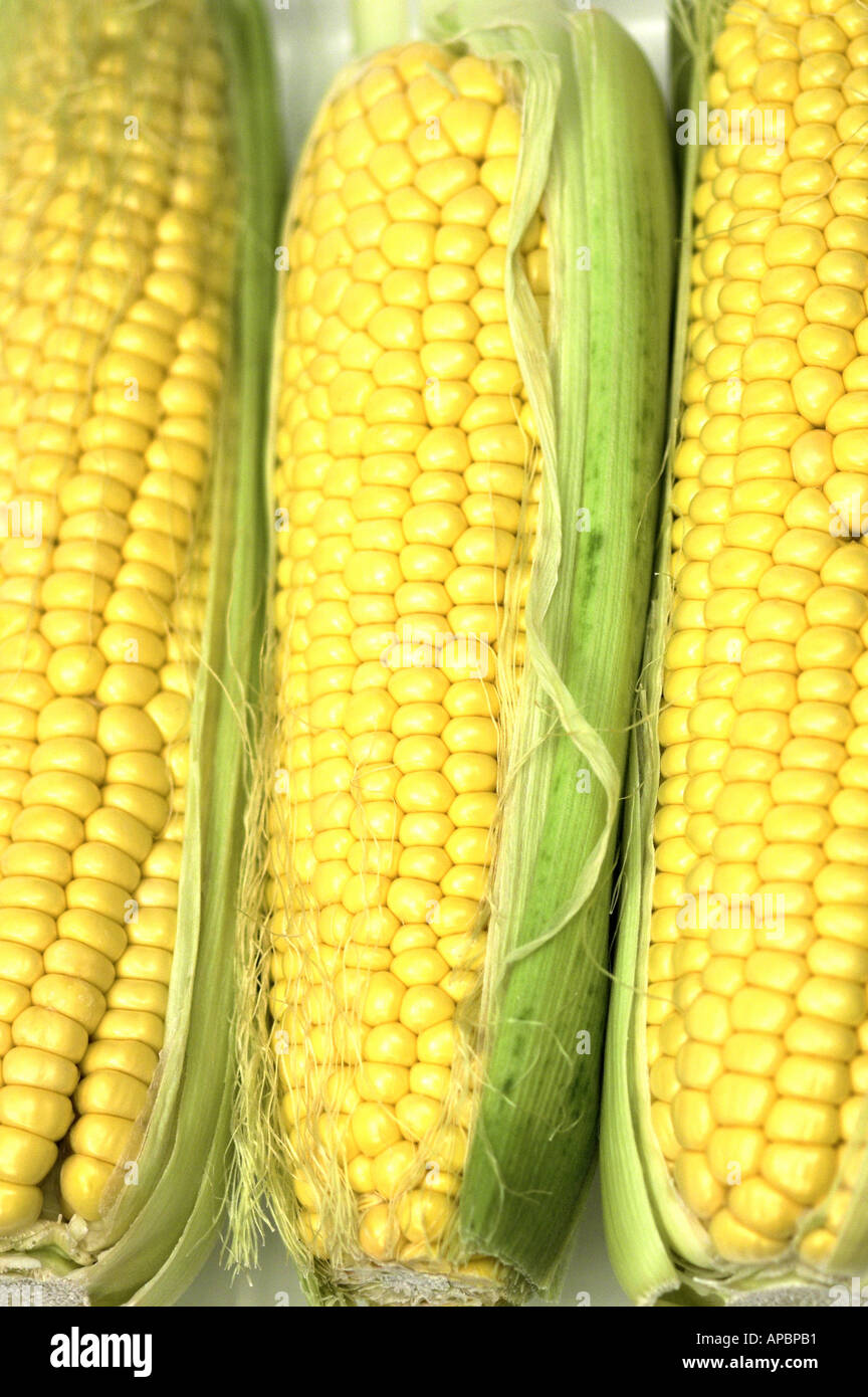 Sweet Corn Sweetcorn Sweet Corn Corn on the Cob Maize Sweetcorn Stock ...