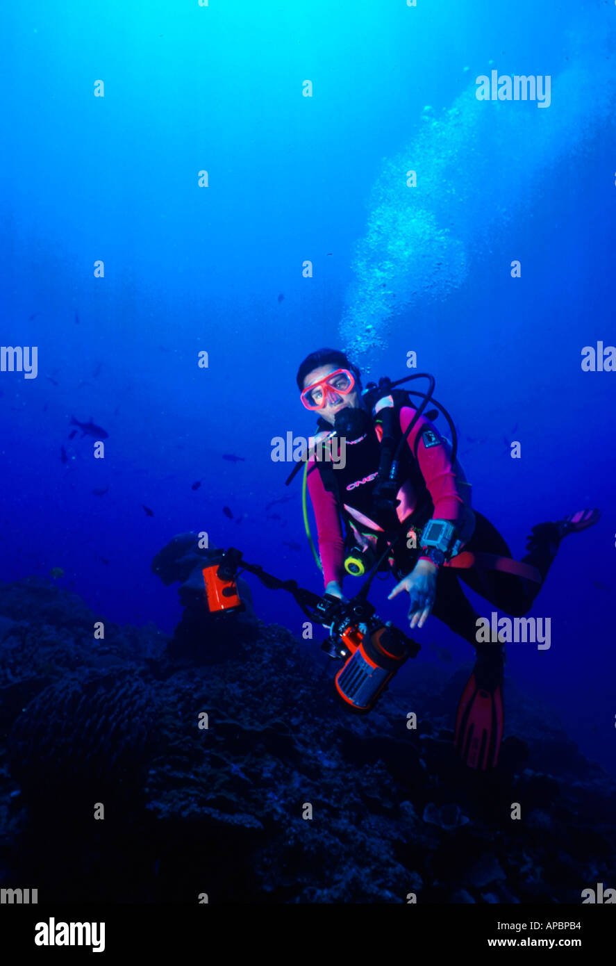 Freediving in red sea hi-res stock photography and images - Alamy