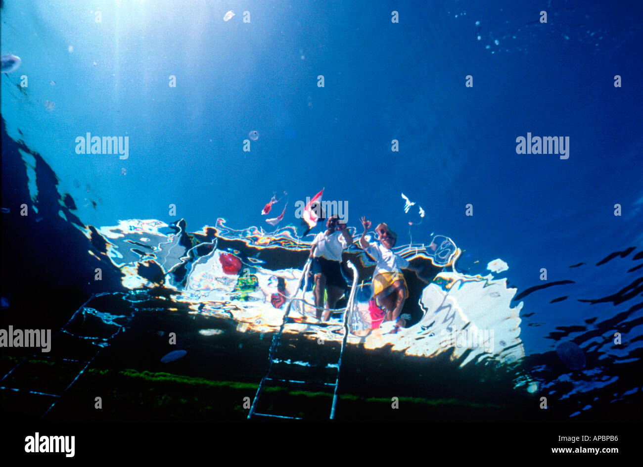 Scuba Diver looking to the surface Stock Photo - Alamy