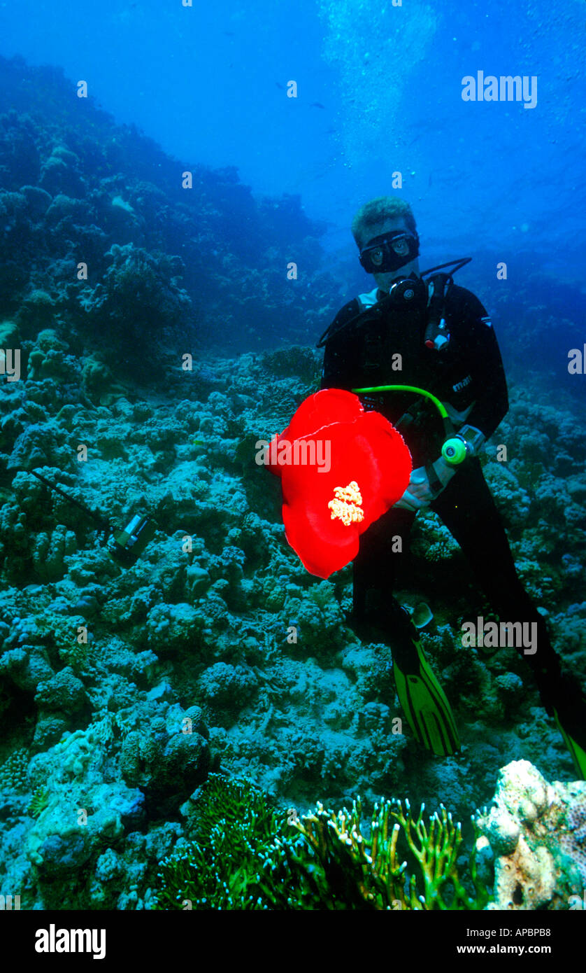 Still dancer hi-res stock photography and images - Alamy