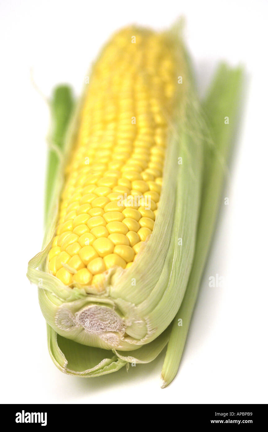 Sweet Corn Sweetcorn Sweet Corn Corn On The Cob Maize Sweetcorn Stock