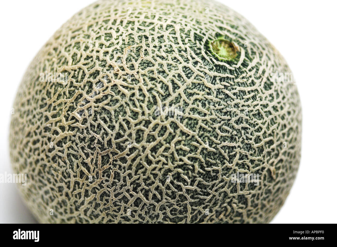 Melon Canteloupe Cantaloupe Melon Stock Photo - Alamy