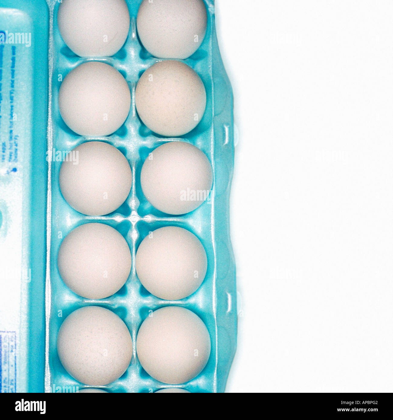 Still Life of White Eggs in a Cyan Blue Styrofoam Carton - Copy Space ...